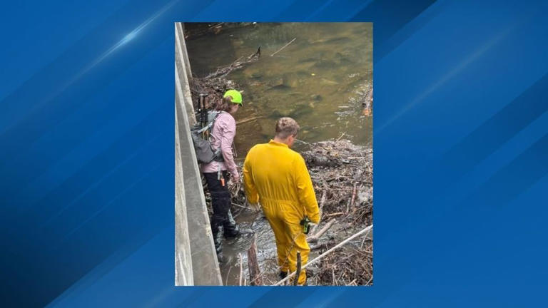 Texarkana police, Morgan Nick Foundation searching for two missing men