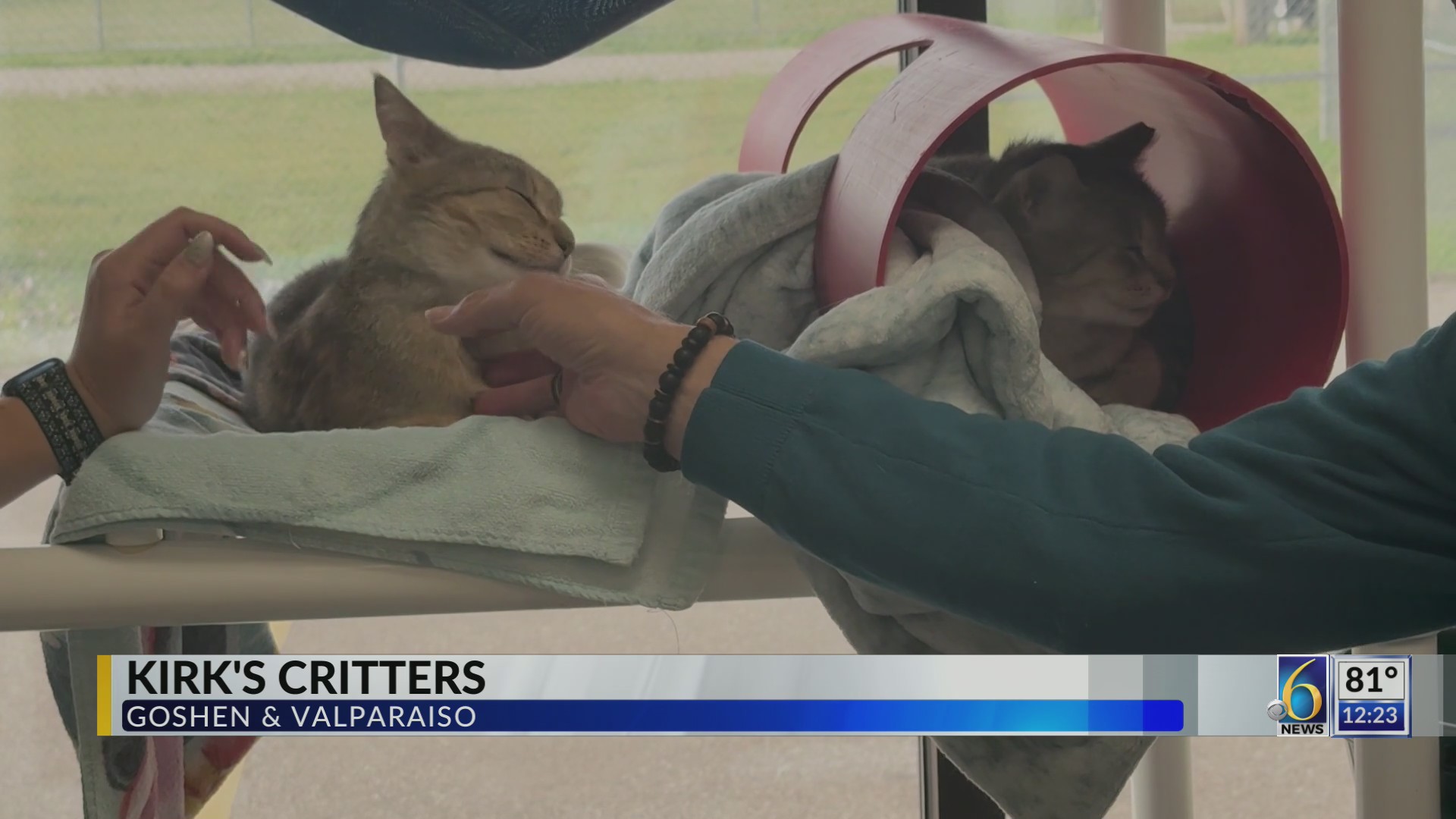 Kirk's critters: Goshen & Valparaiso