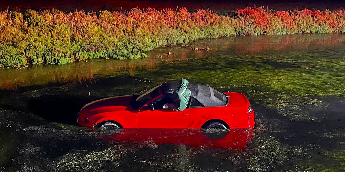 Police say Ford Mustang driver flies into pond, then proceeds to fall ...