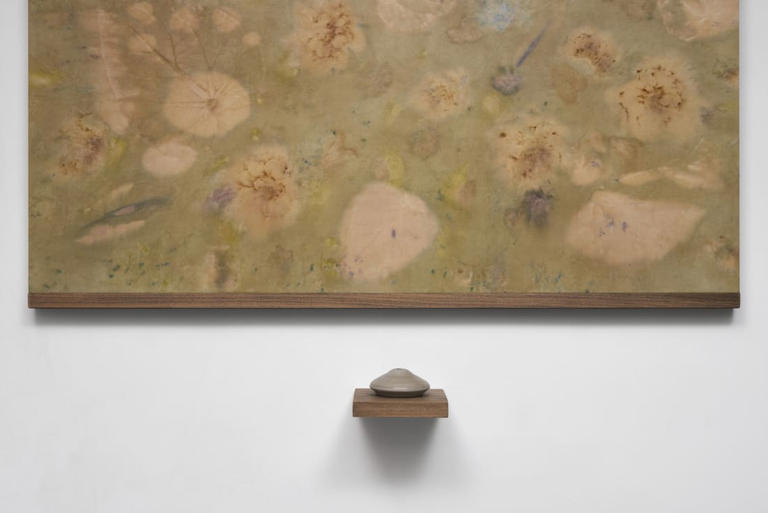 A Gradara la mostra dell'artista coreana che trasforma fiori e piante ...