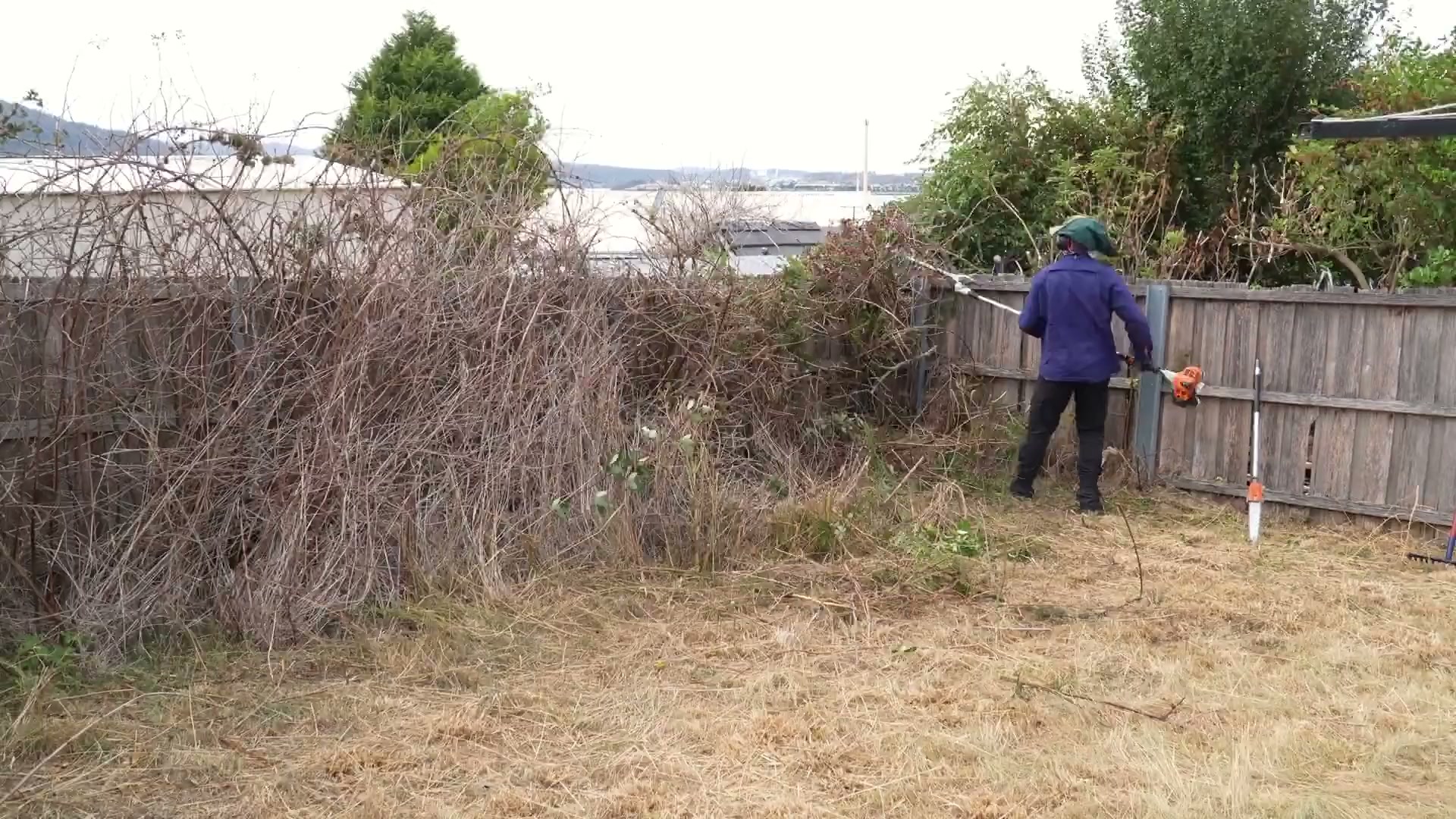 I transformed this yard for a single mom! 🌿