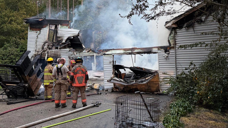 Dozens of cats killed, woman hospitalized after Wilson County house fire