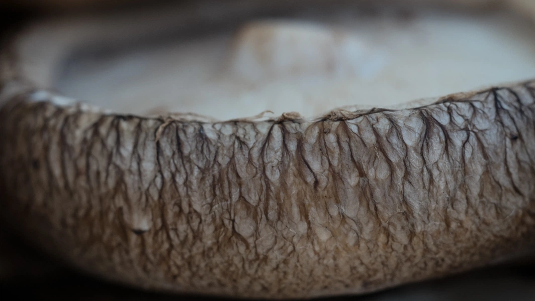 Health benefits and culinary uses of portobello mushrooms