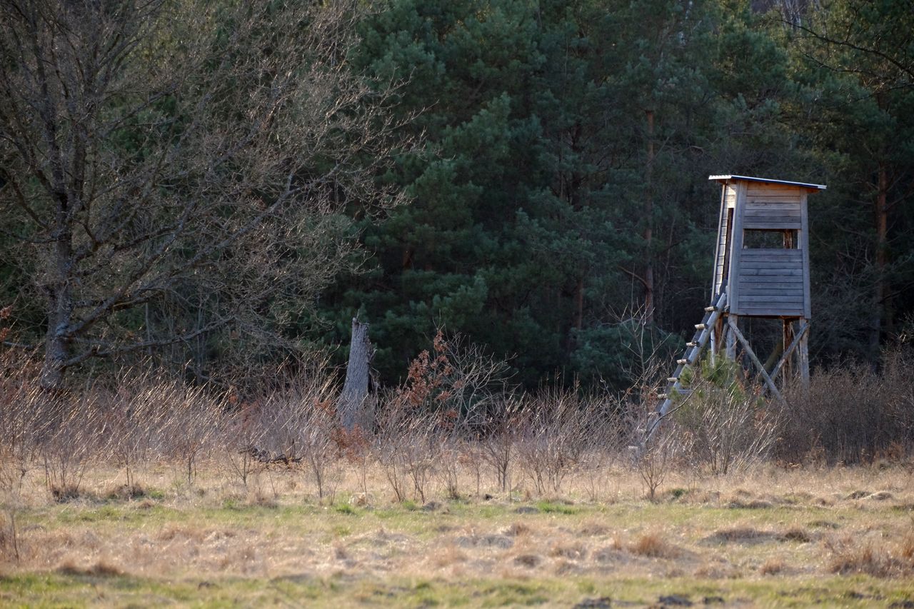 8 states where bow hunting season gives hunters access that rifle ...