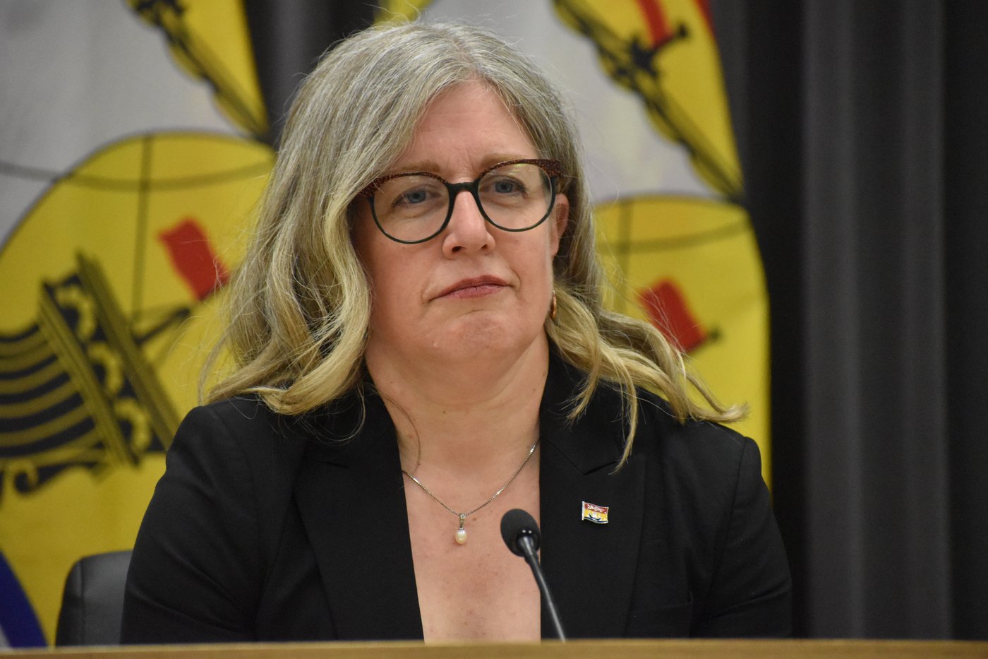 NB Premier Susan Holt says pay-what-you-can school lunch program ...