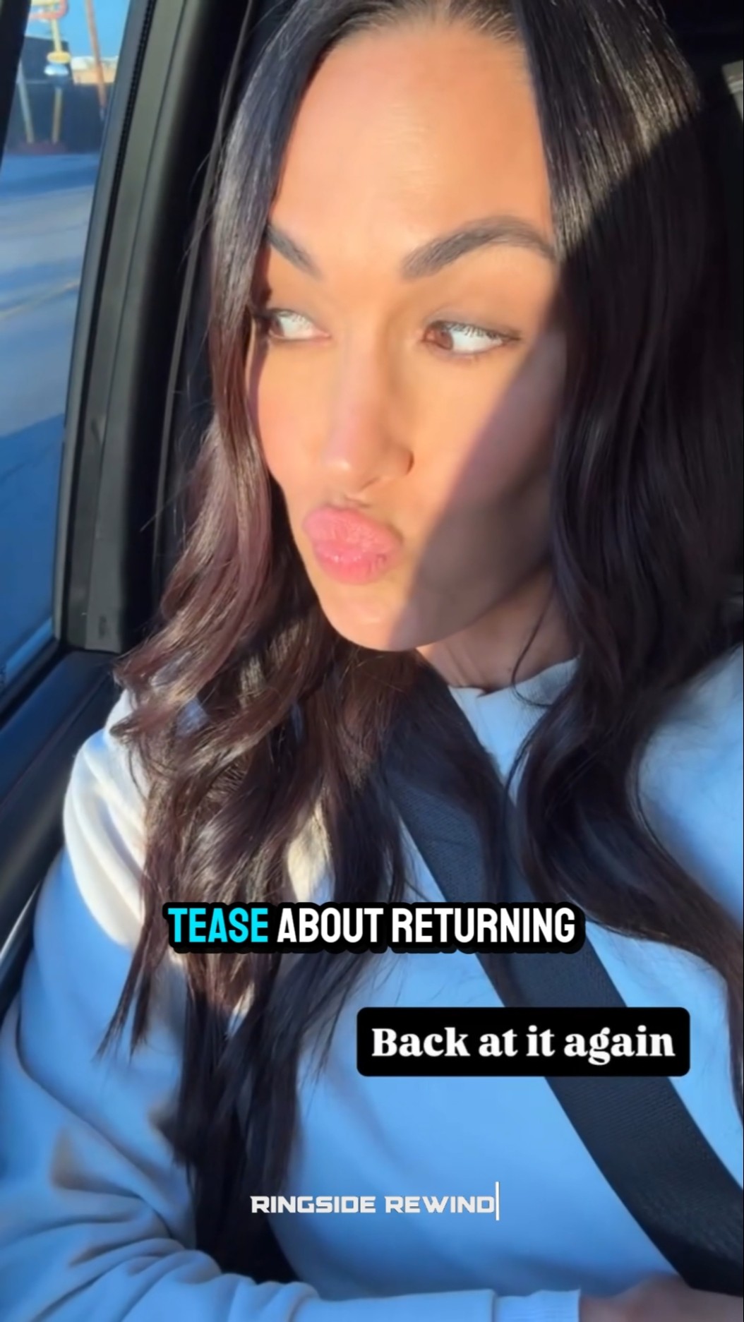 Did Brie Bella just tease her WWE return?
