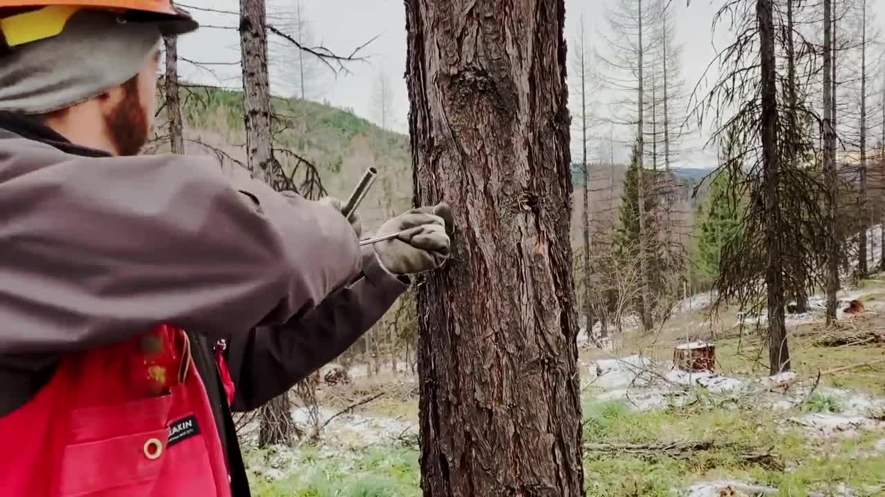 Major expansion announced for Montana's Shared Stewardship agreement ...