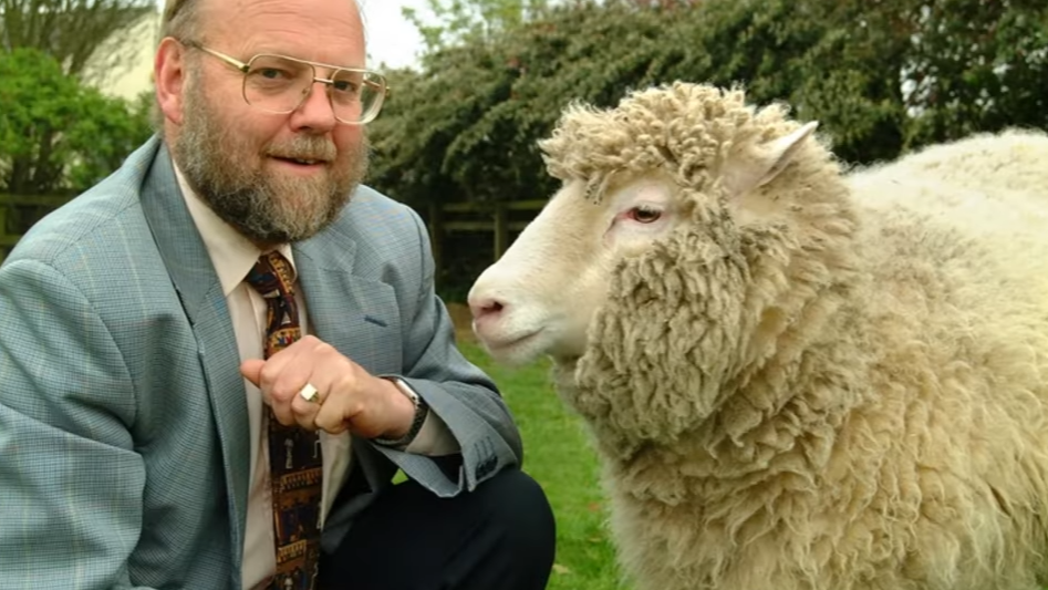 Man ends up in court after cloning the world's largest sheep