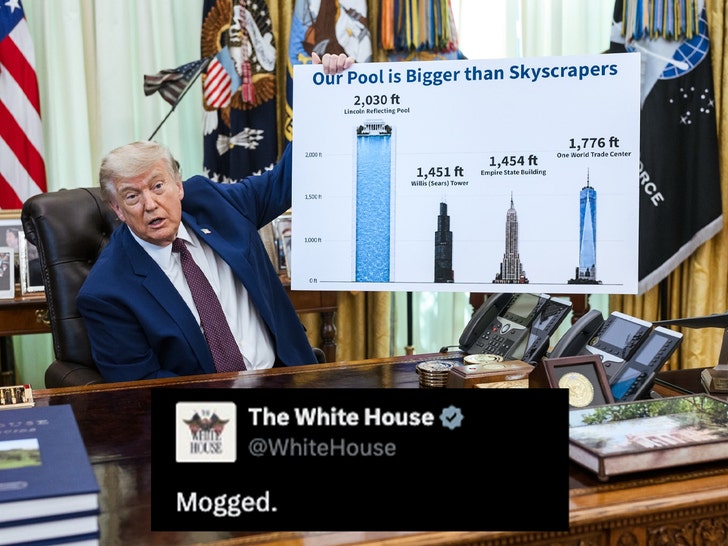 White House social account 'mogs' One World Trade Center over ...