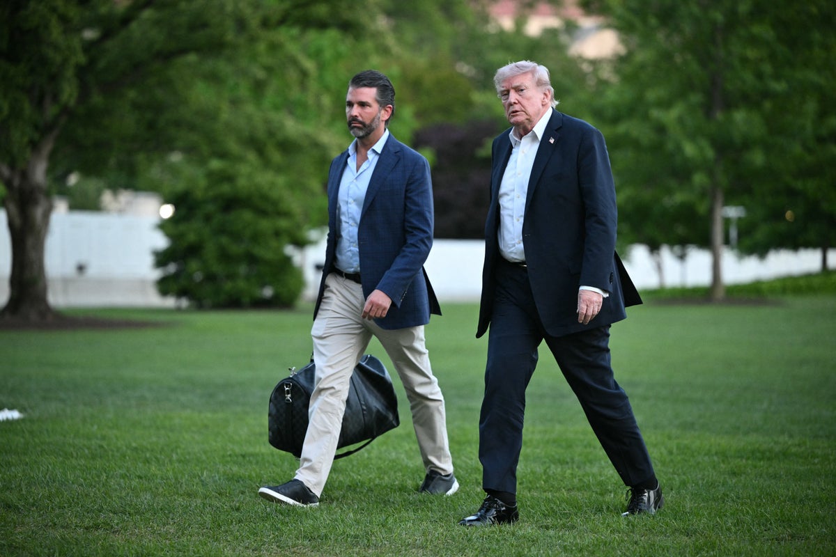 Dems want answers for Pentagon loan given to Trump Jr-linked company