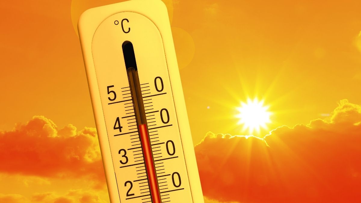 What are the top 10 highest temperatures ever recorded on Earth?