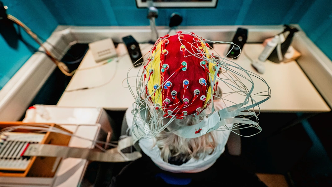 Newly found brain rhythm may be key to consciousness