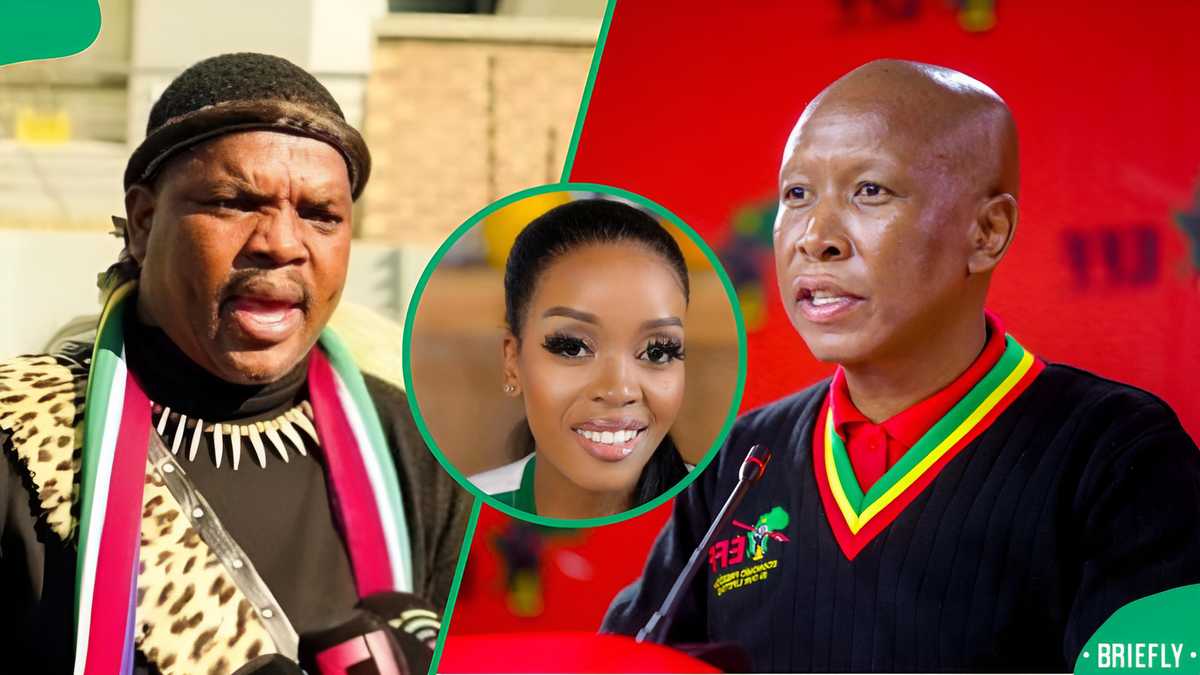 Here's how Jacinta Ngobese-Zuma reacted to Ngizwe Mchunu's apology to ...