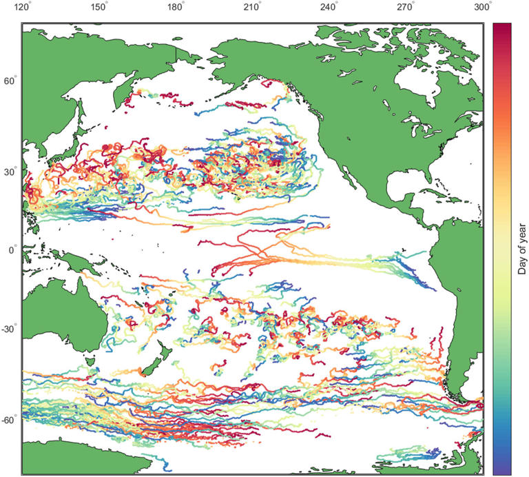 Buoys track ocean waves across 14,000 km, from storms in Antarctica to ...