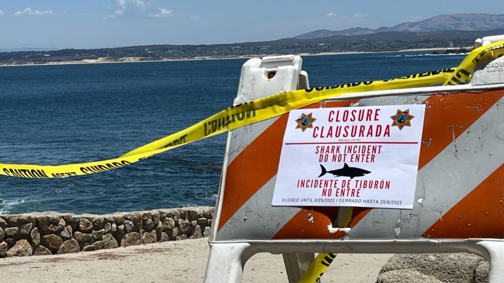 Dead whale prompts closure of Lovers Point Beach in Monterey County