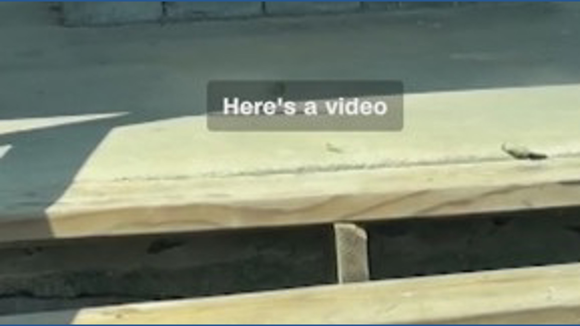 Not for sale: Snake infestation derails home showing