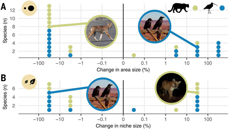 GPS study tracks how animals respond to people across America
