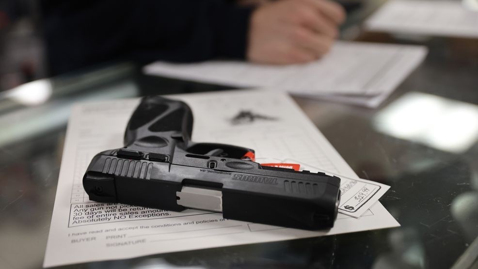 Lynchburg judge orders Virginia State Police to halt gun background checks