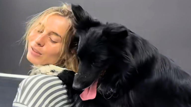 Border collie's gorgeous dance routine with dog mom will bring you to tears