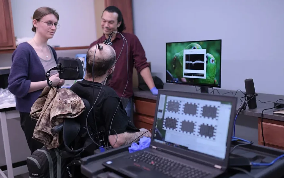 Newly found brain rhythm may be key to consciousness