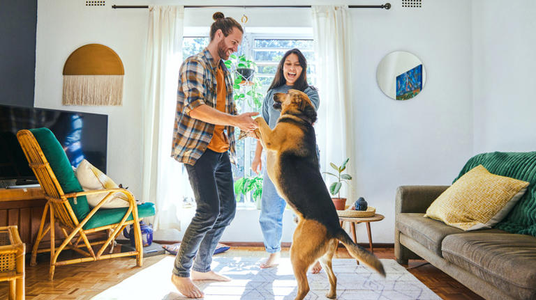 Border collie's gorgeous dance routine with dog mom will bring you to tears