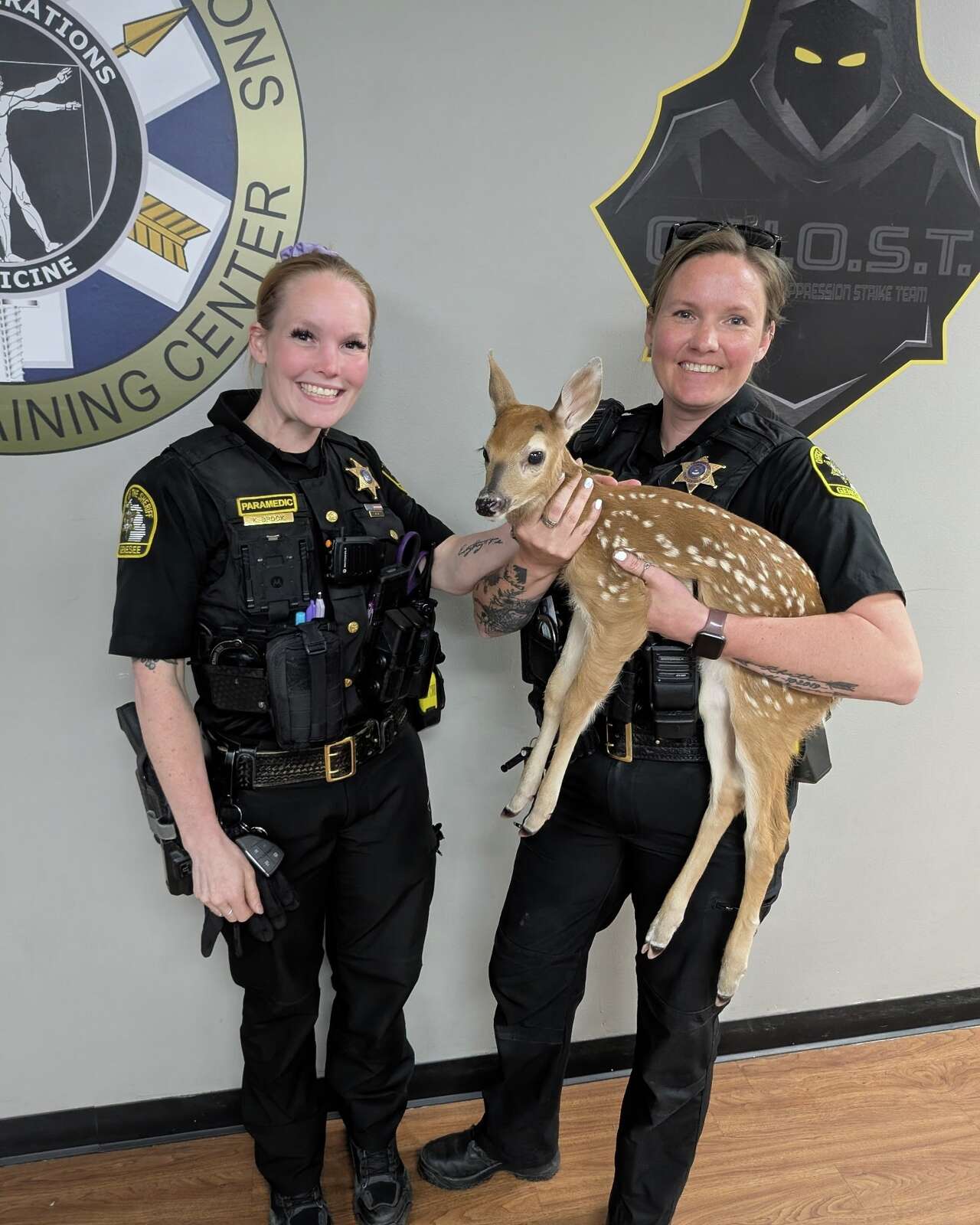 Michigan troopers, deputies rescue fawns during annual season