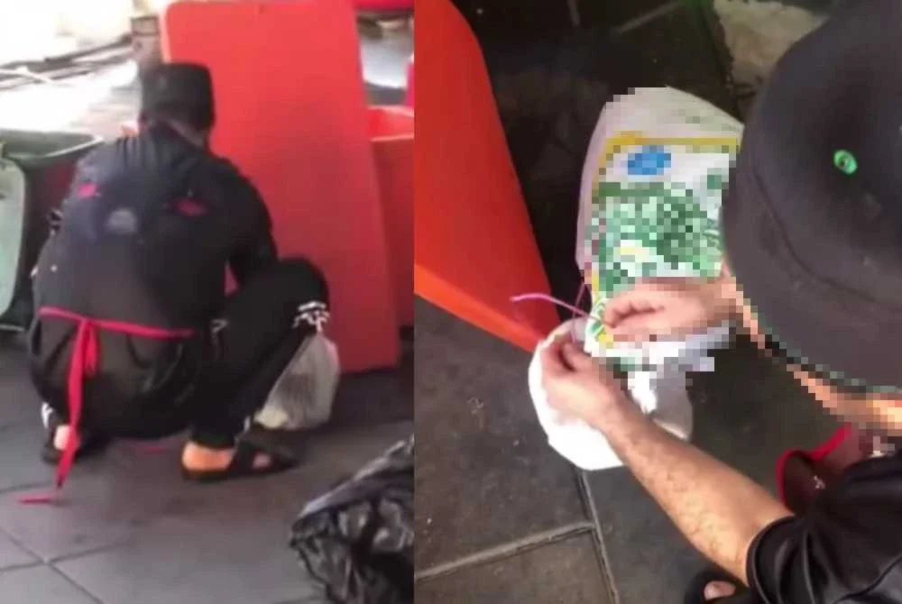 Police investigate alleged cat abuse by restaurant worker in Teluk Intan