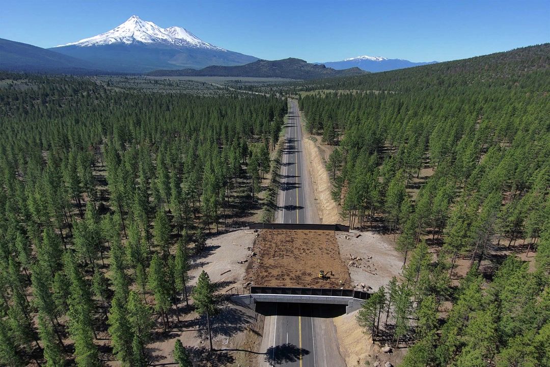 Multimillion-Dollar Wildlife Bridge in NorCal Gets Travelers Before Opening