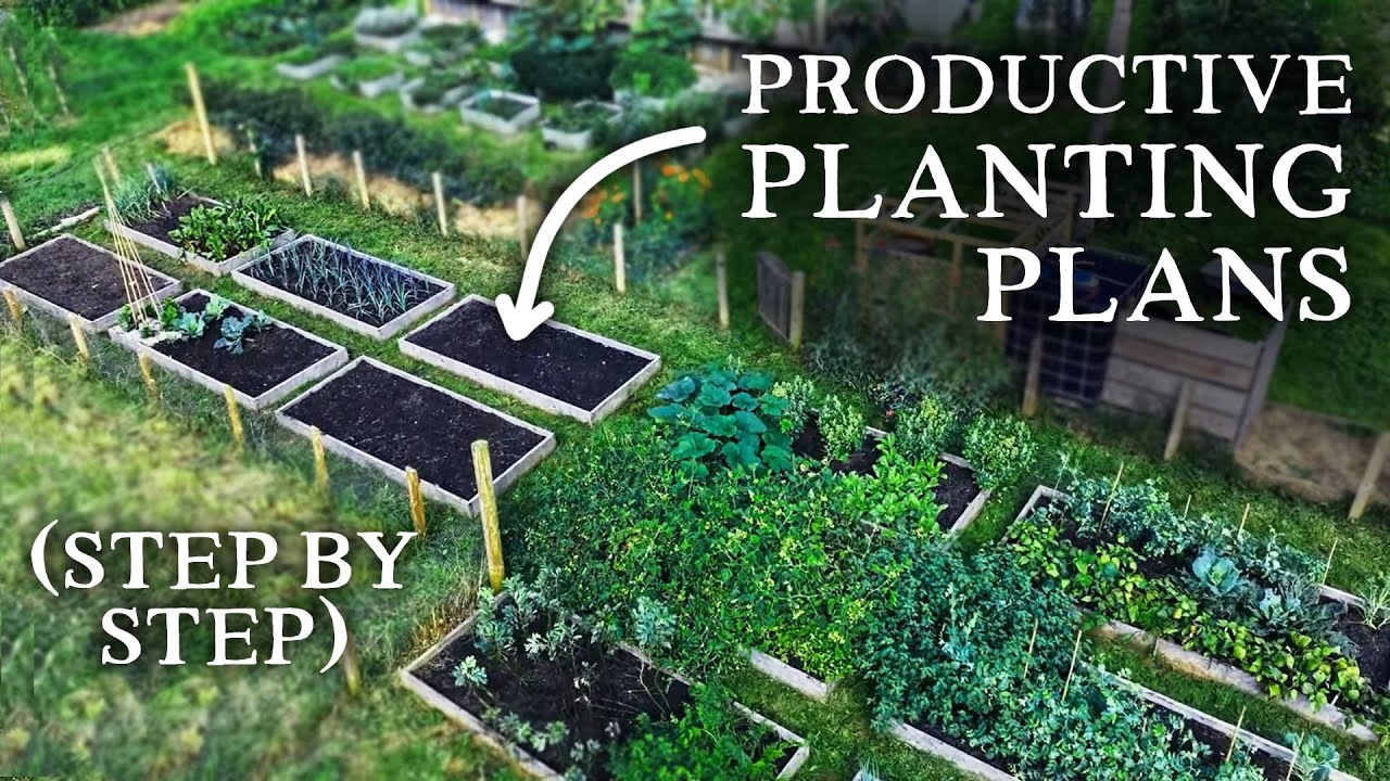 How to plan a productive vegetable garden (for beginners)