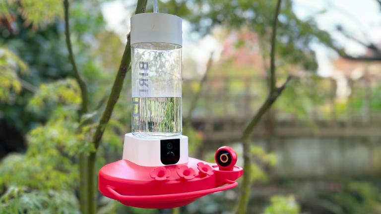 This clever camera allowed me to watch my hummingbirds even on vacation