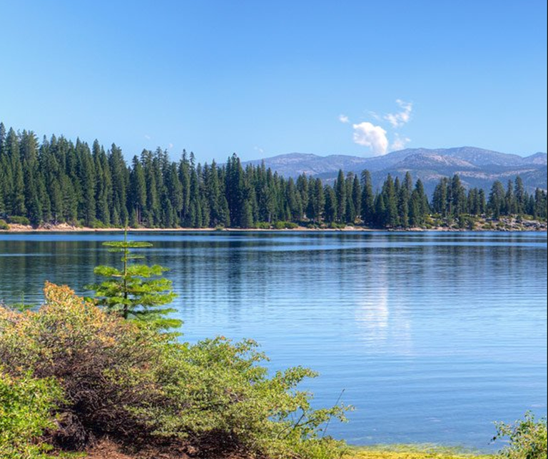 Looking to camp in the Sacramento area? Here are 5 campgrounds to explore