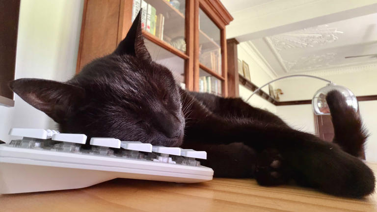 This 34-year-old open source tool is still the fastest way to write on ...