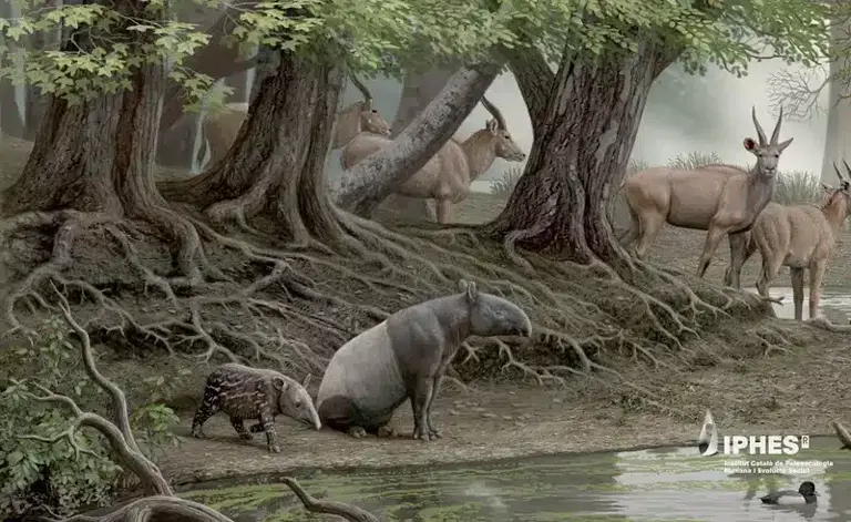 Scientists unearth nearly complete 4-million-year-old tapir skeleton in ...