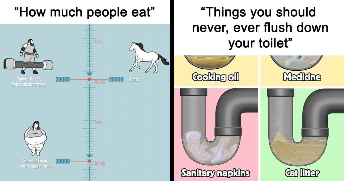 People share 37 satisfying infographics that just make sense
