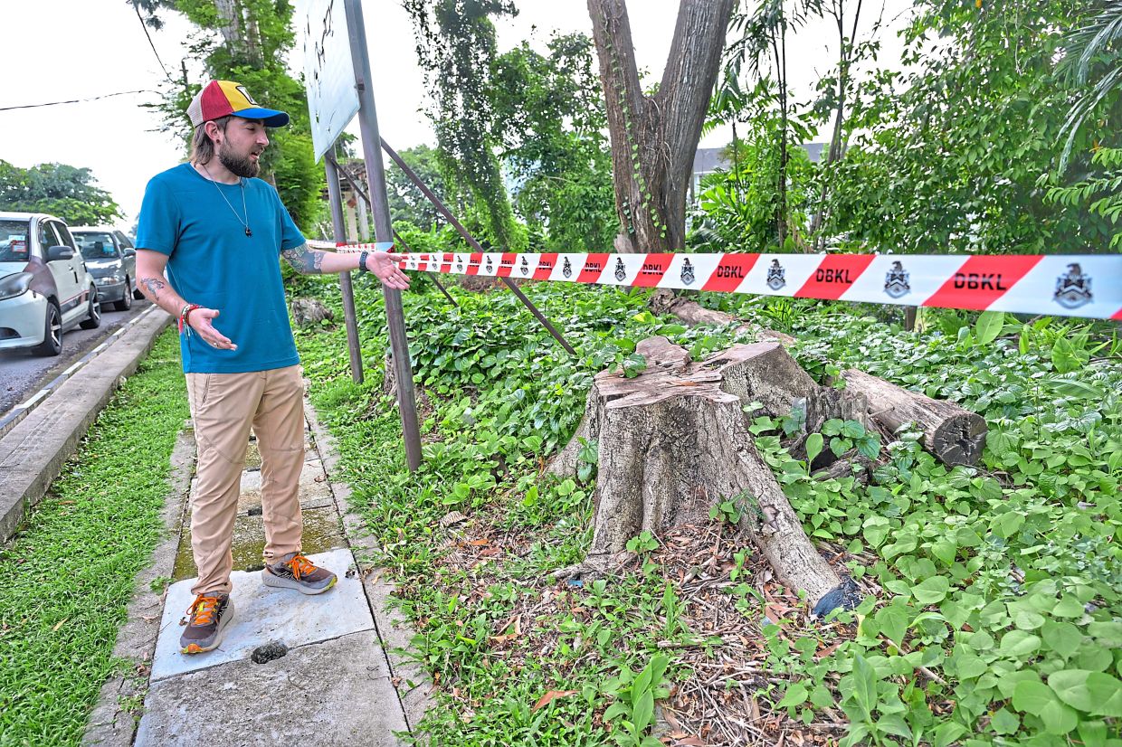 Segambut green lung to be fenced off after viral video