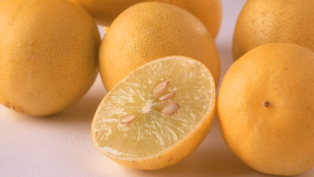 6 unique lime varieties from around the world