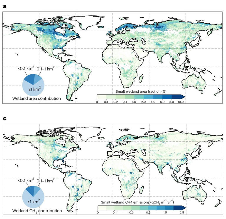 Easily overlooked small wetlands are a big source of global methane