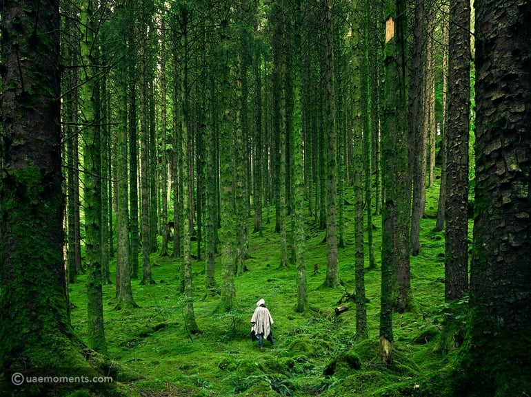 7 health benefits of spending time outside and connecting with nature