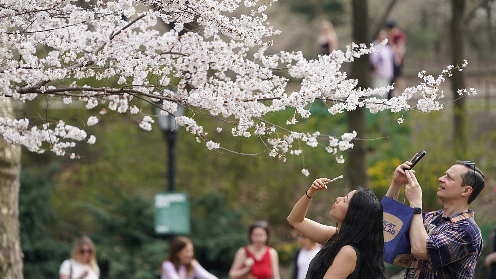 Spring blooms and events in New York's gardens
