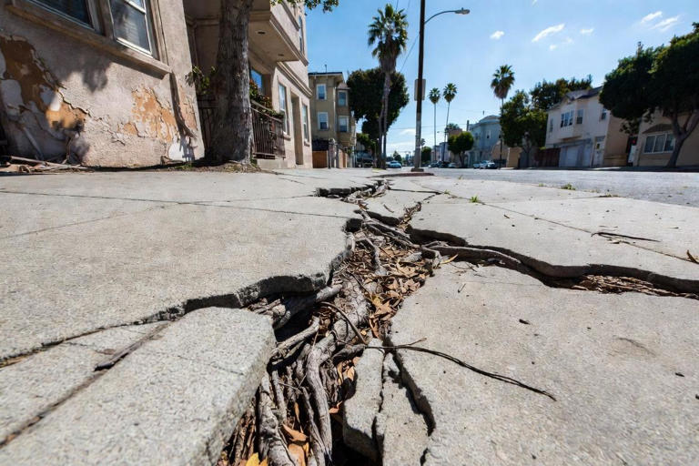 Busted sidewalks pose grave danger to Blacks and Hispanics