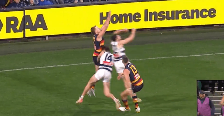 AFL MRO: Crows veteran, Geelong star in hot water