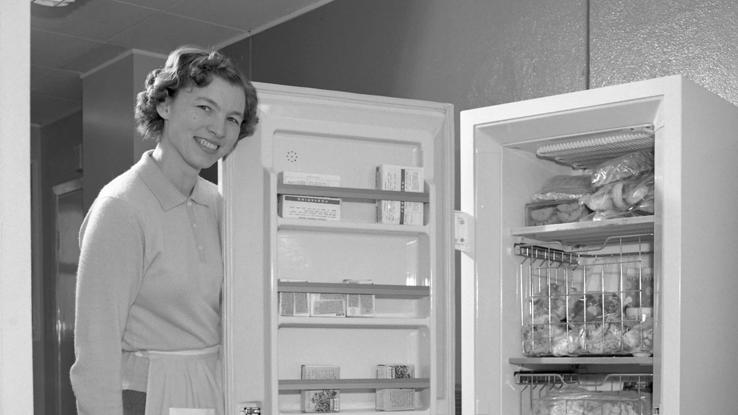 8 best chest freezers for every need in 2026