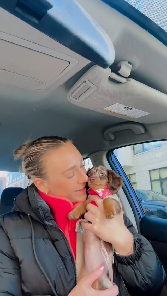 Meet my adorable little dachshund Nugget