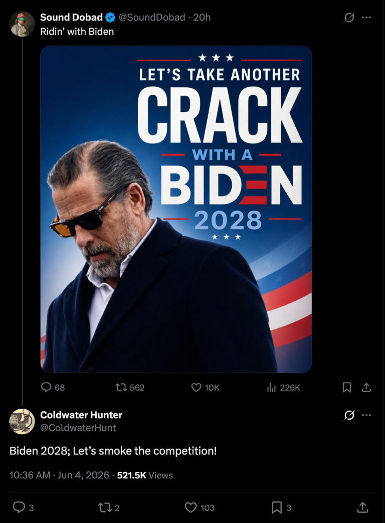 Hunter Biden on AI presidential flyer: 'I can't stand when people ...