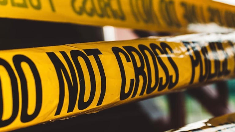 Delhi University college professor found murdered with severe head ...