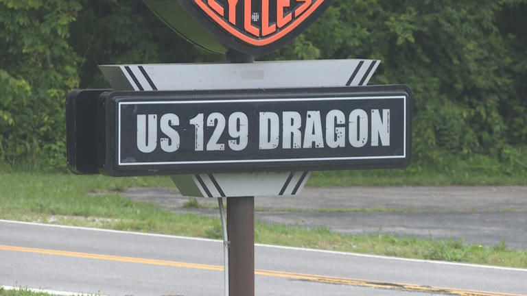 Motorcyclist hit deer on ‘The Dragon’ in deadly crash, report says