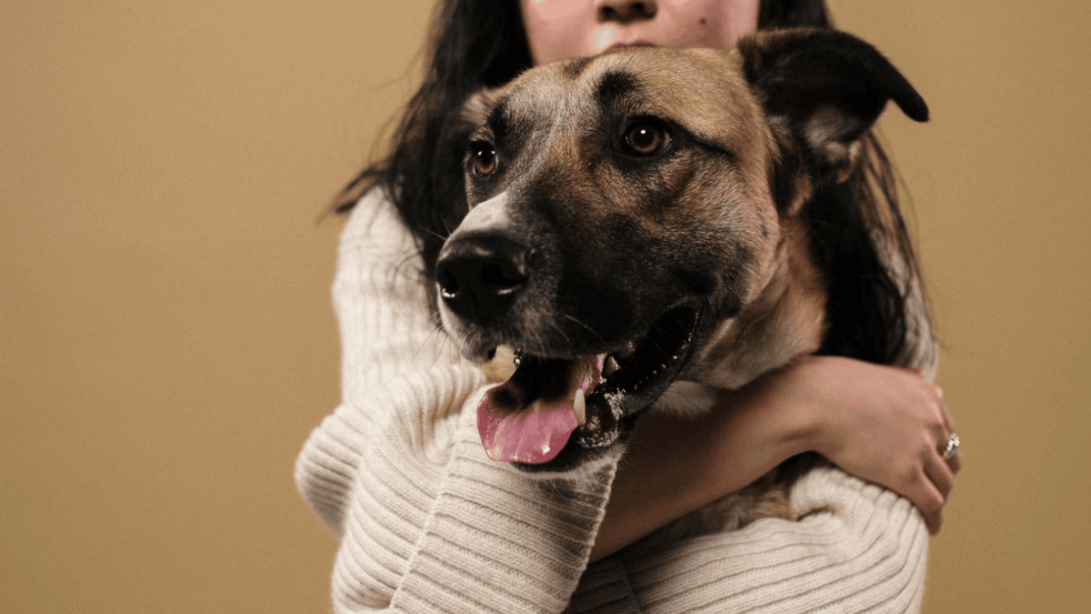 7 signs your dog's wagging tail means "I love you"