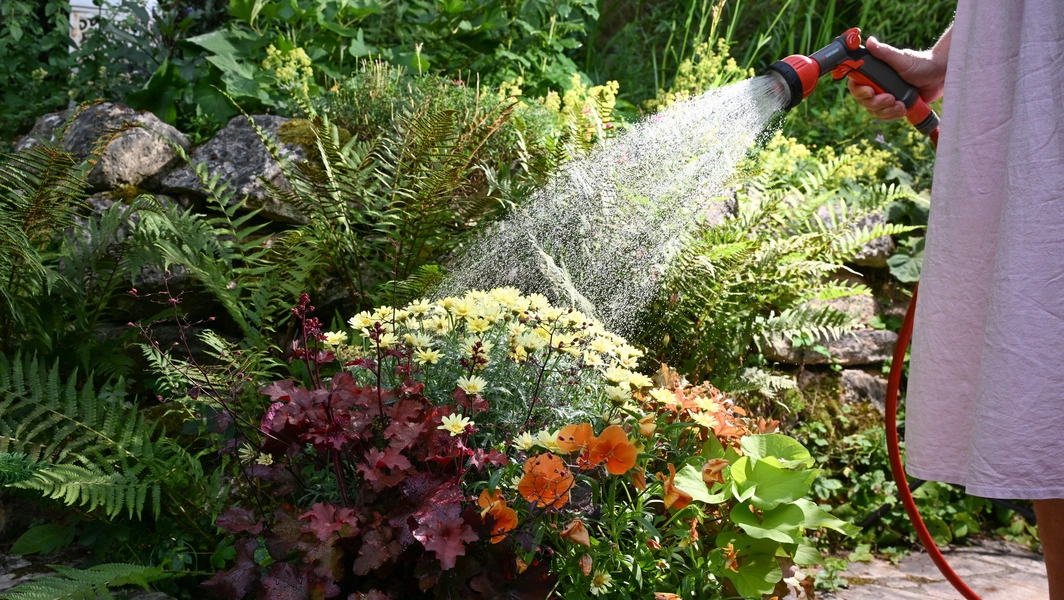 Effective plant watering during extreme heat