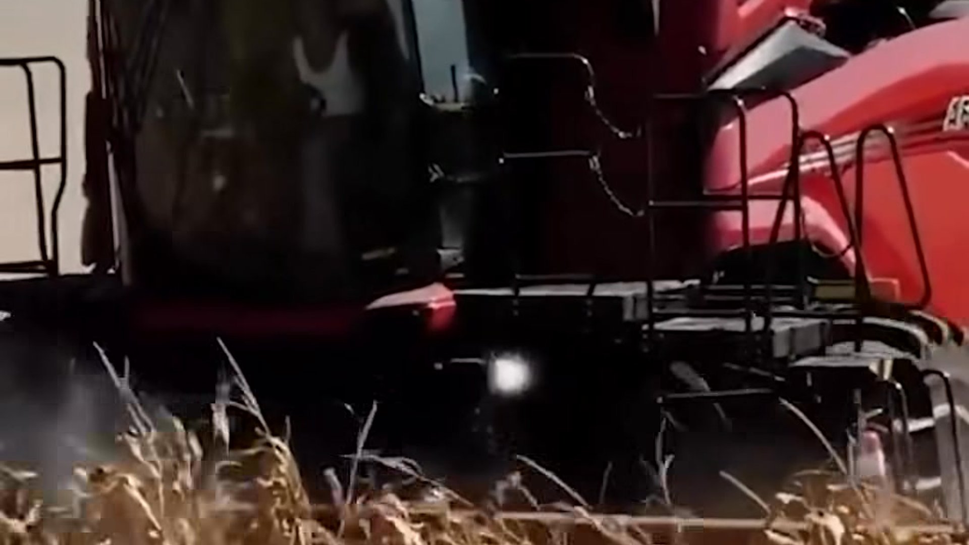 World's biggest combine at work