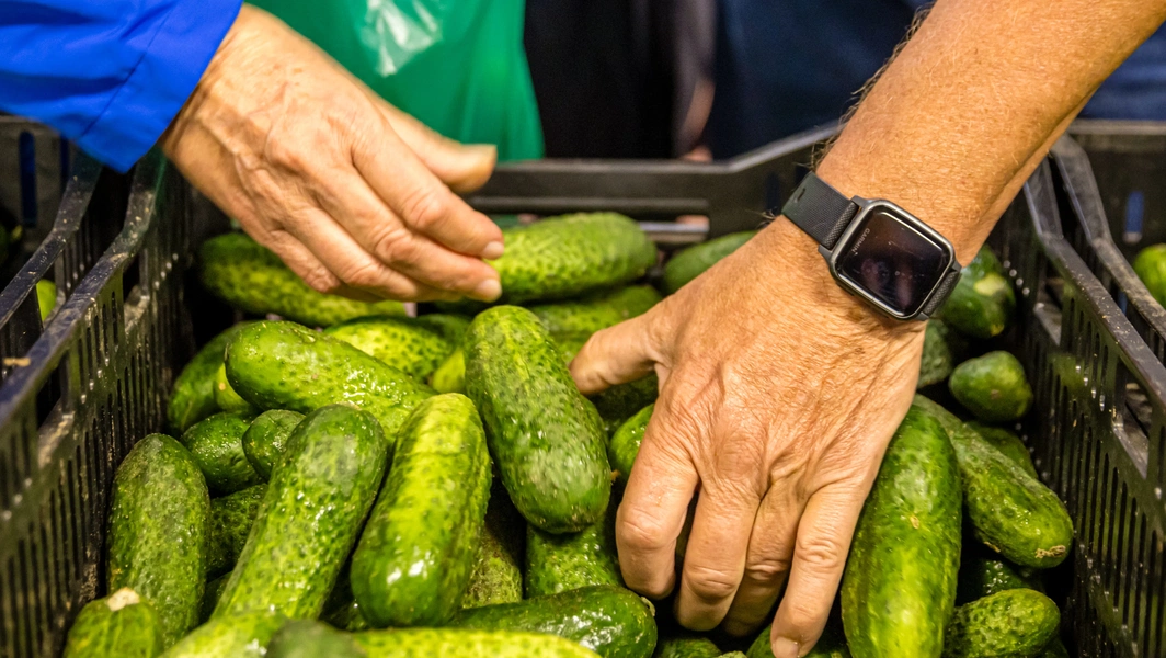 Essential tips for quick-pickling vegetables